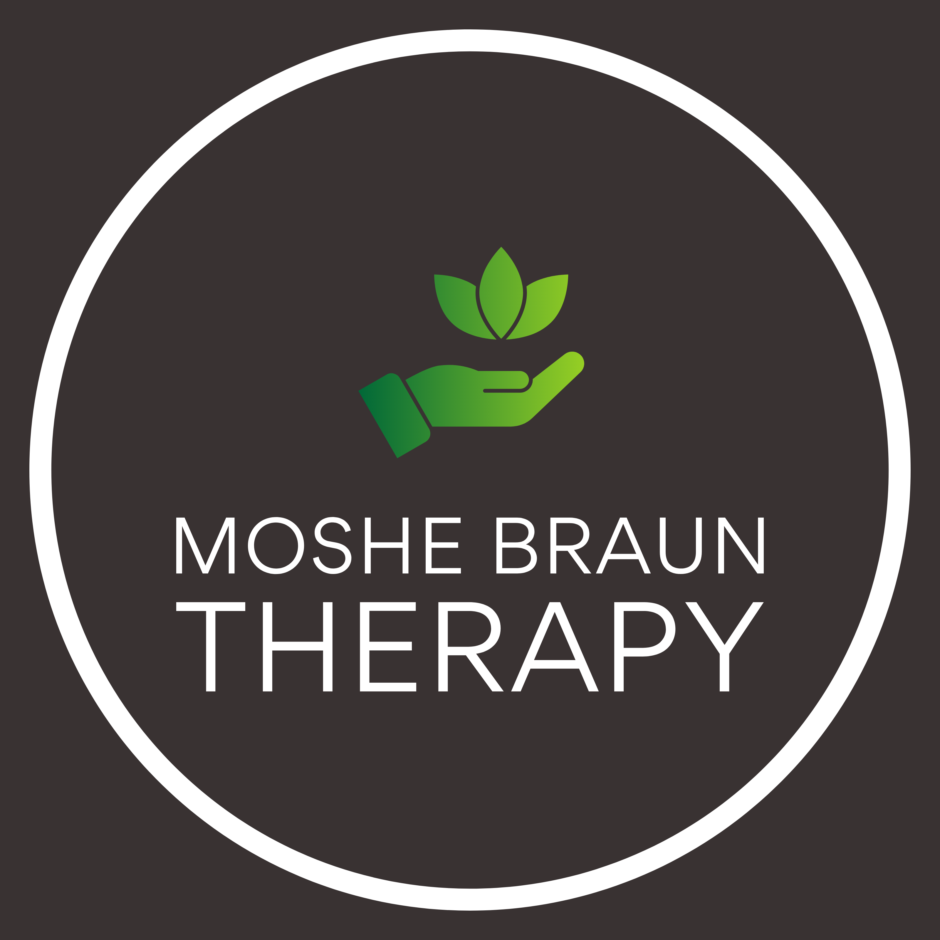 Home - Moshe Braun Therapy